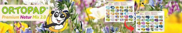 Augenpflaster Kinder ORTOPAD® Mix